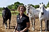 Tag: reiten